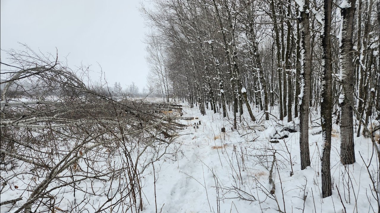 Creating Deer Bedding on a Swamp Transition Using Edge-Feathering - YouTube