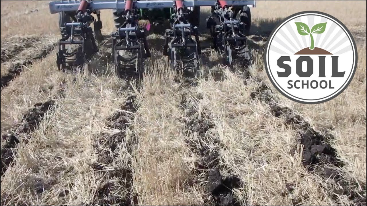 Soil School: Strip till lessons from the northern plains - YouTube