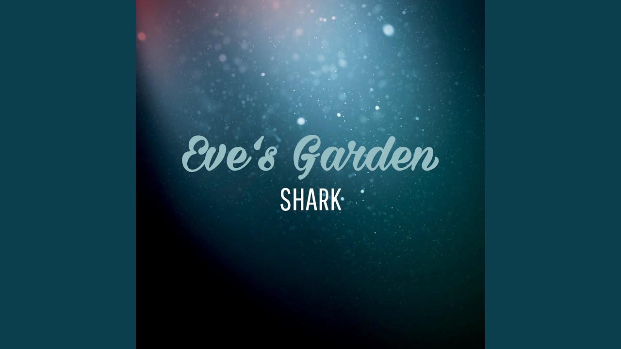 Shark - YouTube Music