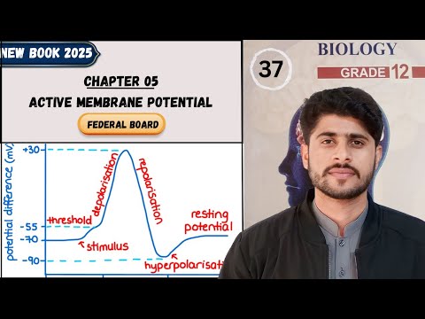 Action Membrane Potential ||Chapter 05 Class 12 ||Federal Board Biology ...