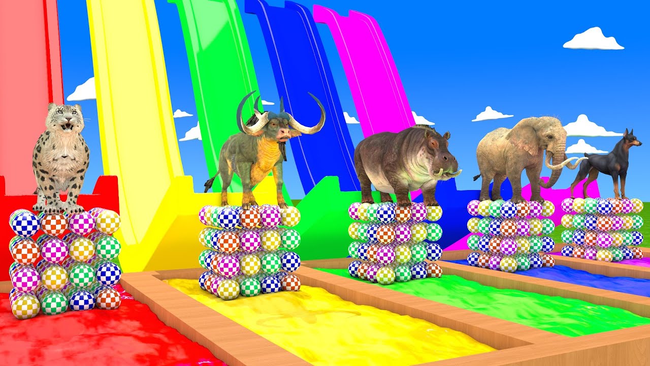 Long Slide Game With Elephant Tiger Hippopo Dog Buffalo - 3d Animal ...