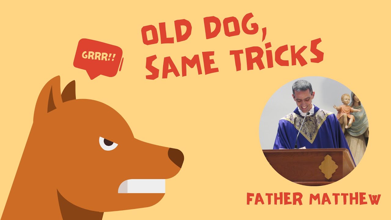 Father Matthew - Old Dog, Same Tricks - YouTube