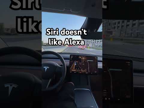 Siri Doesn’t Like Alexa #funny #comedy #siri #alexa #echo #apple #amazon
