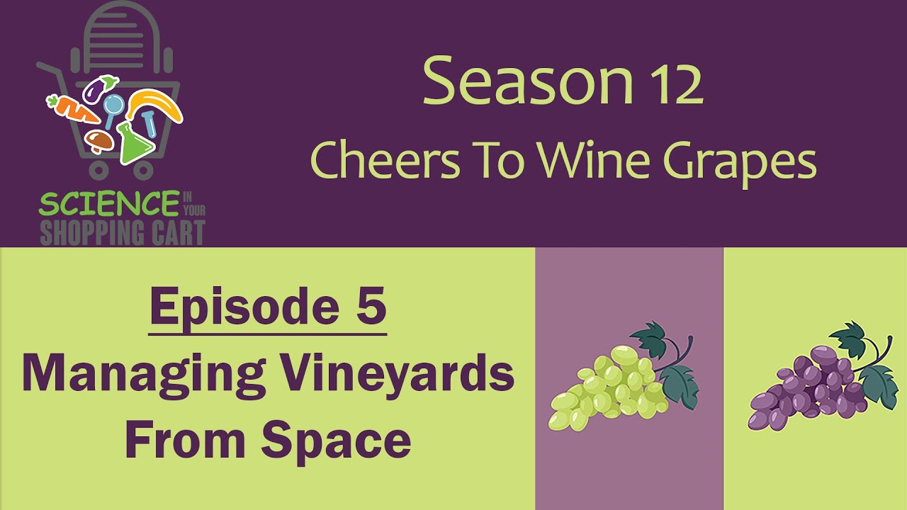 SIYSC S12 Cheers To Wine Grapes Episode 5 Managing Vineyards from Space ...
