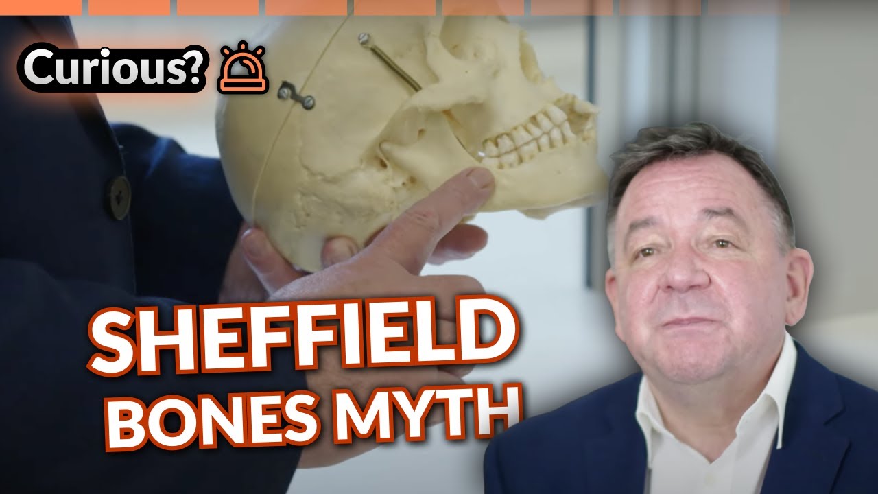 Mystery of Unidentified Bones | Expert Witness | Curious?: True Heroes - YouTube