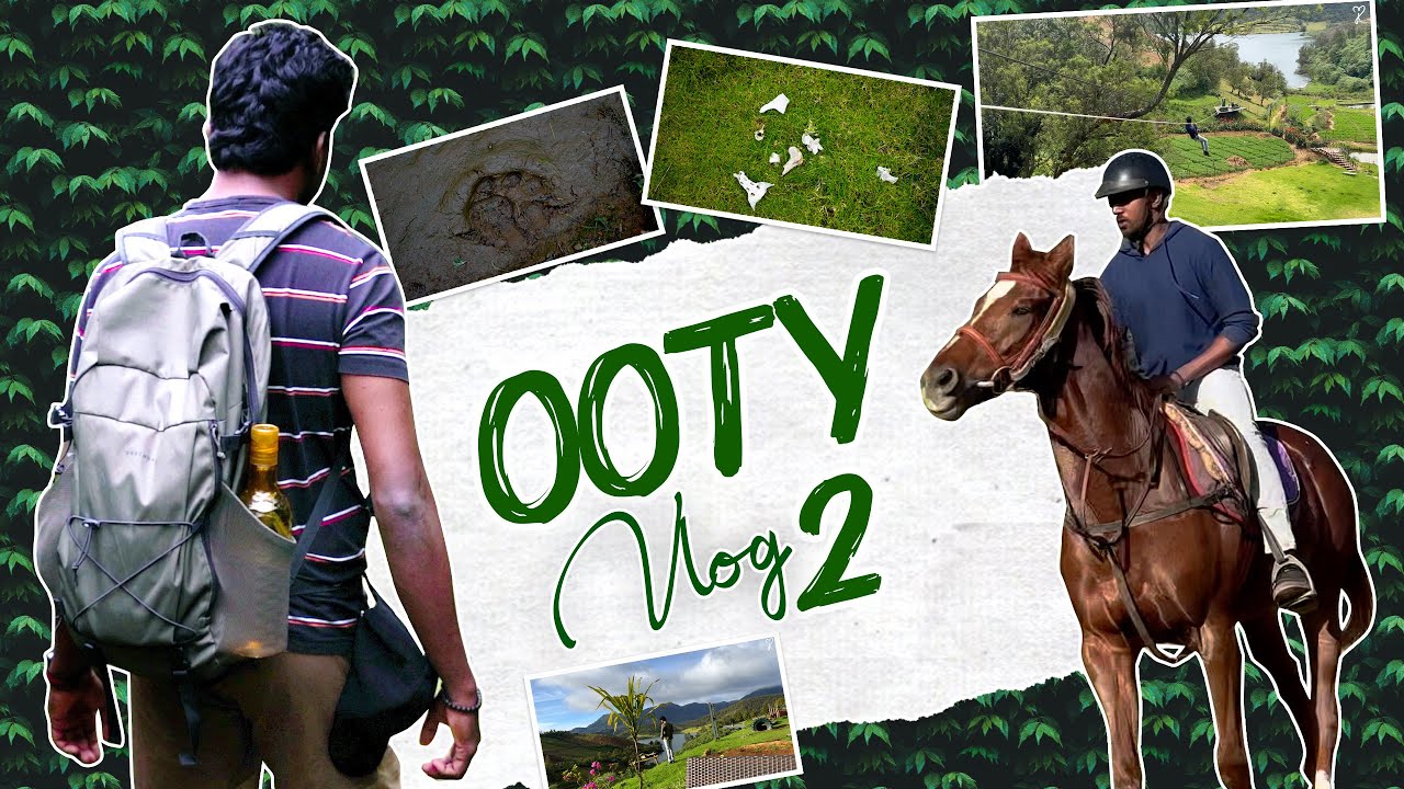 Ooty travel vlog | Destiny - The Farm Resort | luxury resorts | Part ...