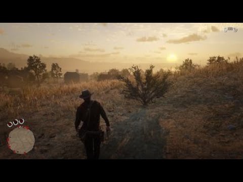 Rdr2 perfect - YouTube