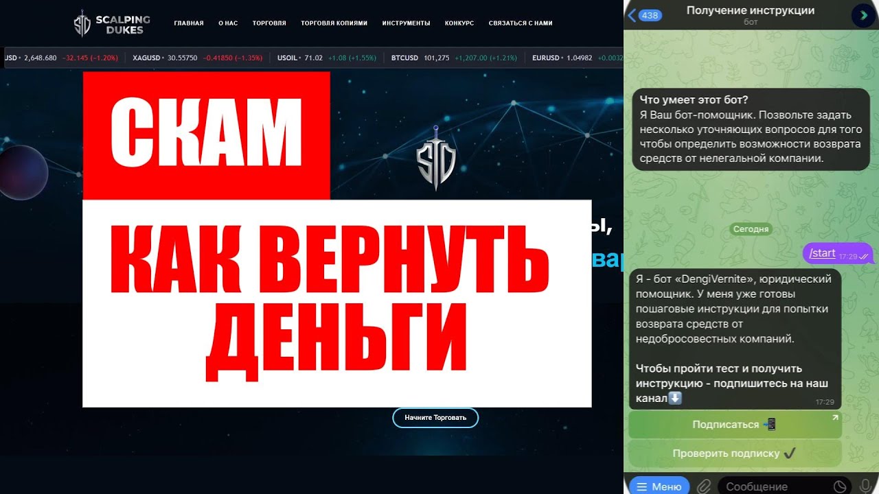 SCALPING DUKES (SCALPINGDUKES.COM) ОБЗОР И ОТЗЫВЫ 2024. ОБМАН? - YouTube