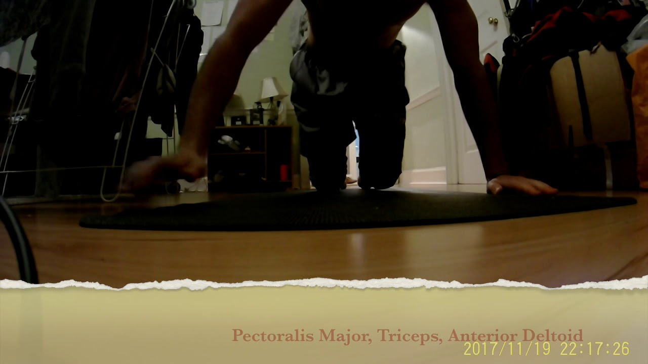 Full Body Home Workout - Target Muscles and Demos - YouTube