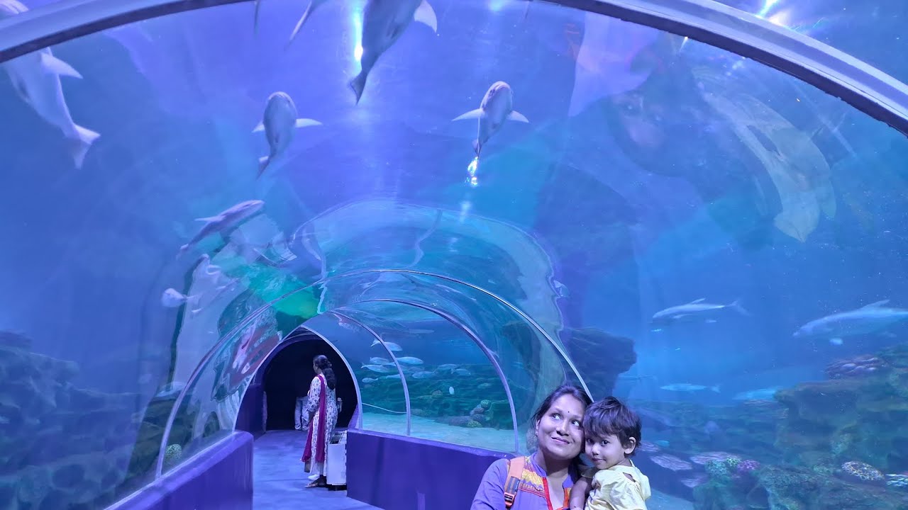 VGP Marine Kingdom | India's first underwater aquarium | My Pride India ...