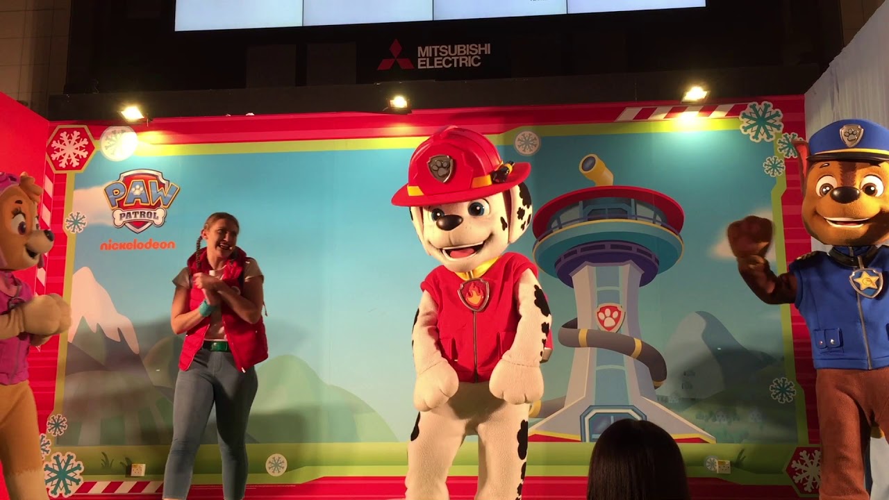 Paw Patrol Dance - YouTube