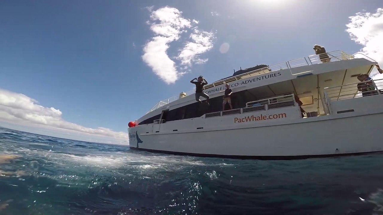 Hawaii Part 2 YouTube Hawaii Part 2 YouTube