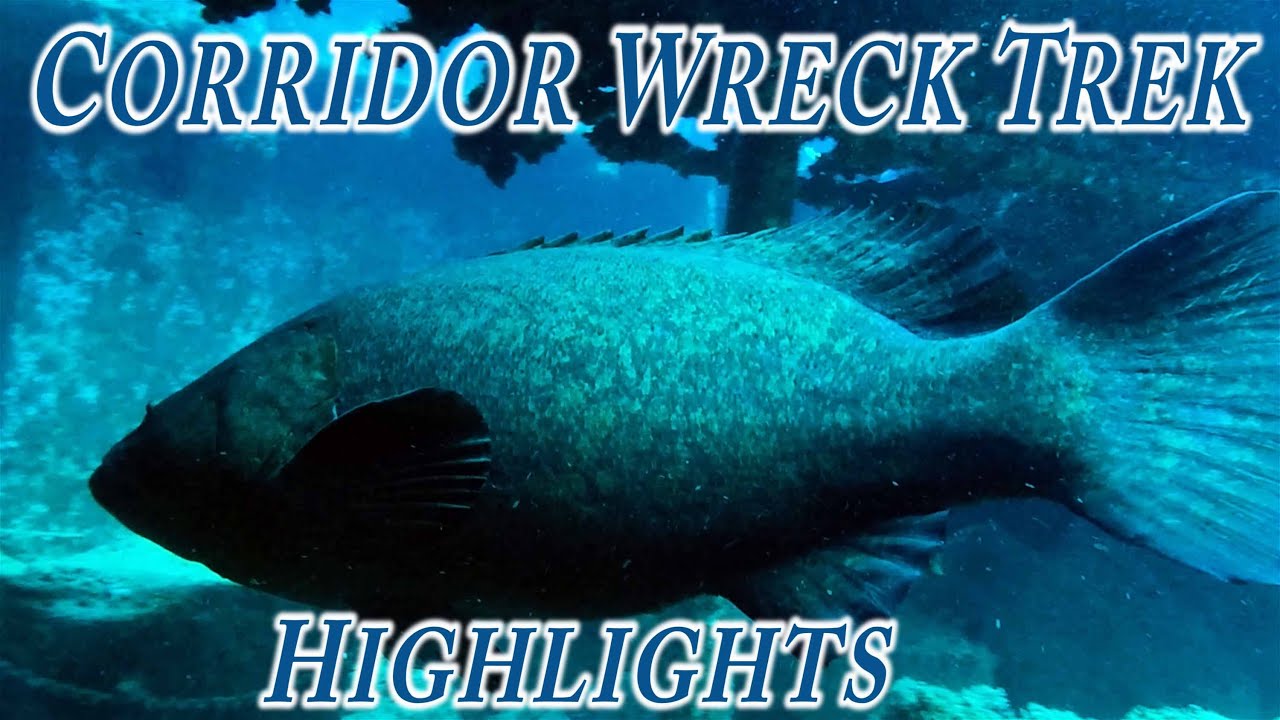 Corridor Wreck Trek Highlights Scuba Dive 4K - YouTube