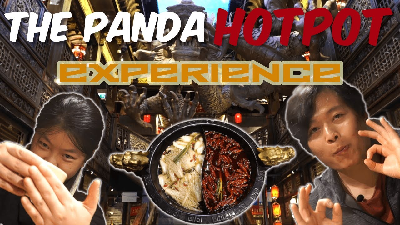 Possibly The Best Hot Pot in Melbourne | PANDA HOT POT - YouTube