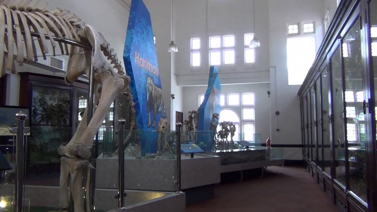 Taiping - Perak Museum - YouTube