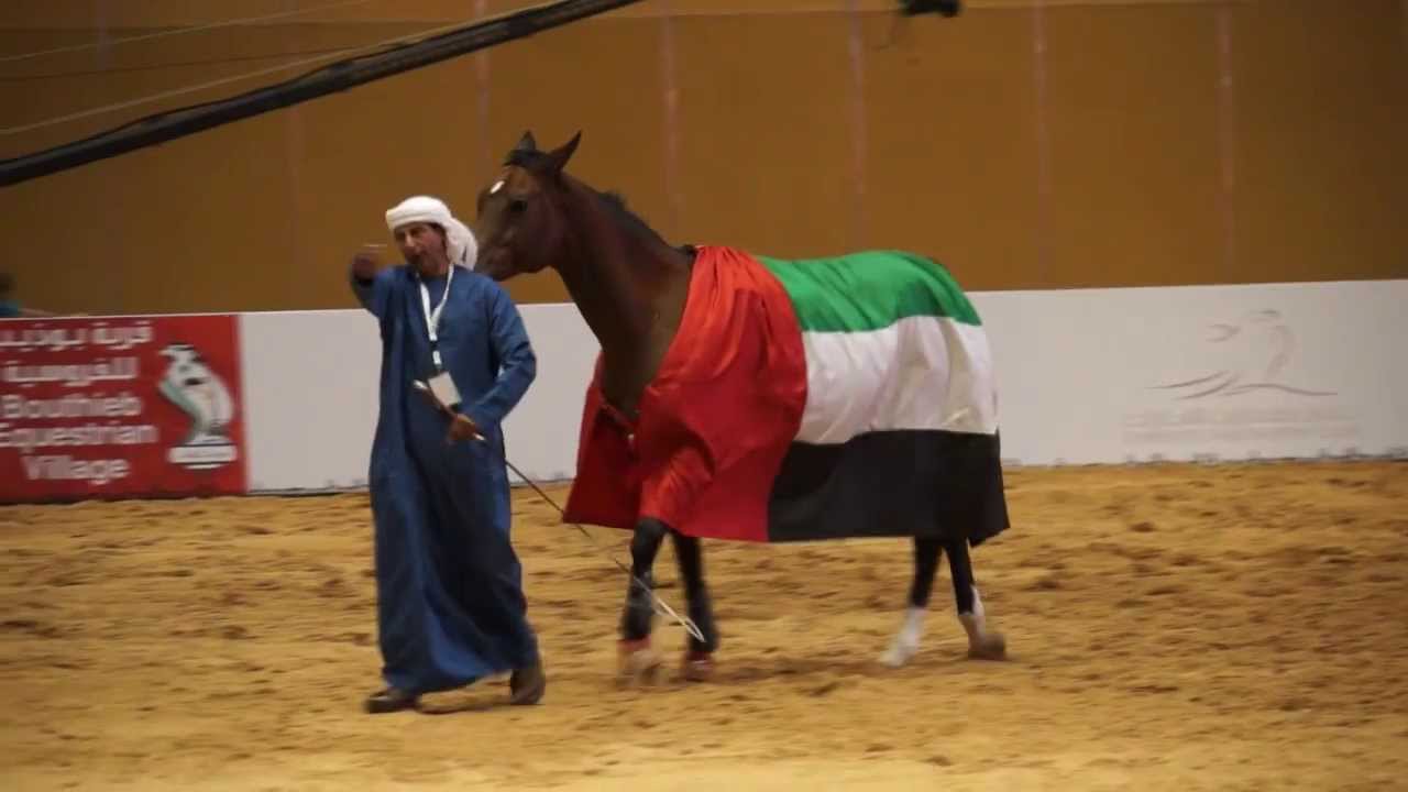 Ali Al Ameri Abu Dhabi Sep 2013 - YouTube