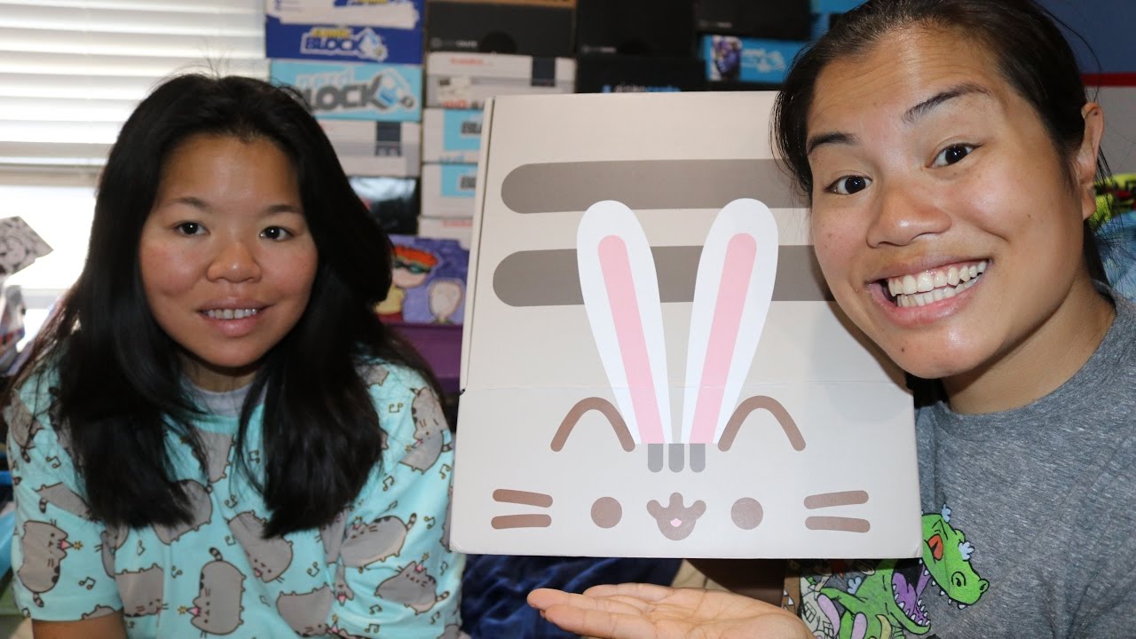 2017 Spring (April) Pusheen Box Unboxing - with Jennifer! - YouTube