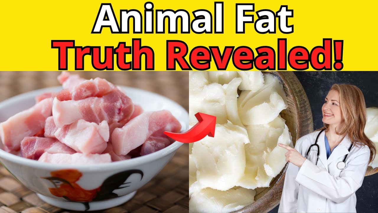 Shocking Truth About Animal Fat: What They Hid From Us for Decades ...