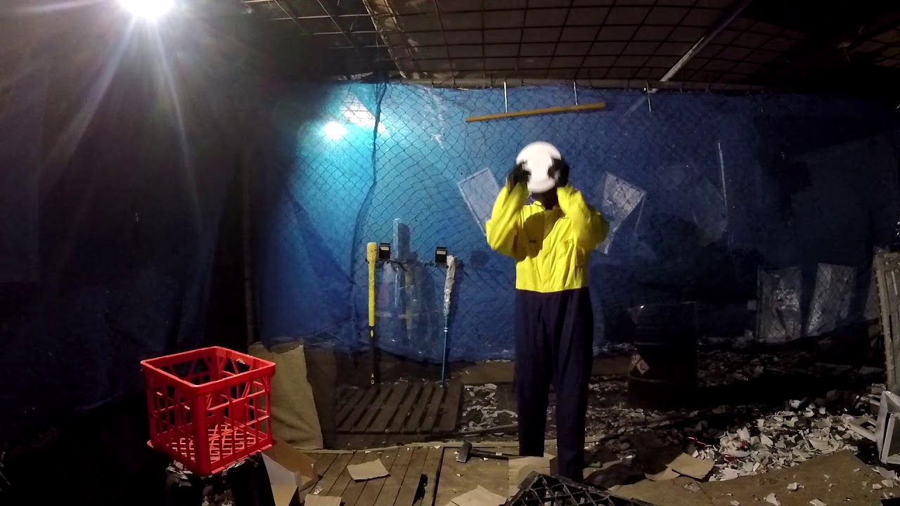 Discus in yellow smash room Brisbane - YouTube