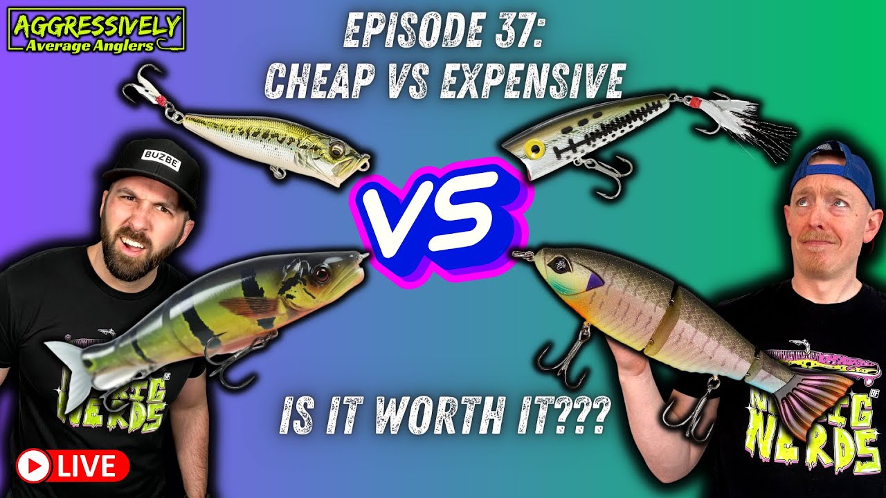 Aggressively Average Anglers Podcast Episode 37: Cheap vs Expensive Is ...