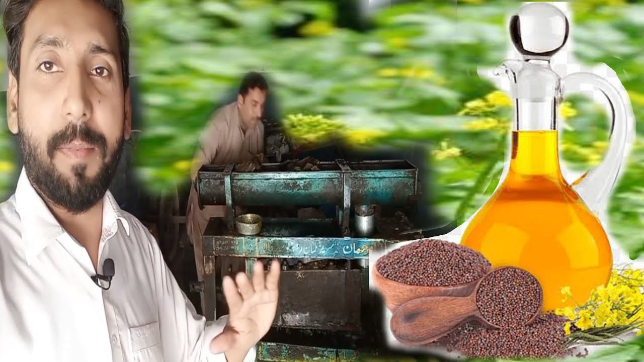 Sarson Ka Oil || Sarson Ka Oil ki || Machine || Oil Kese Banta Hai ...