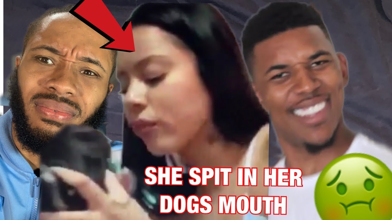 PEOPLE ARE SPITTING IN THEIR DOG’S MOUTH? WTF ( training your dog ...