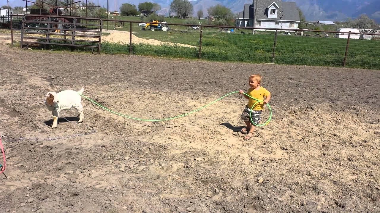 Owen roping a goat rodeo cowboy - YouTube