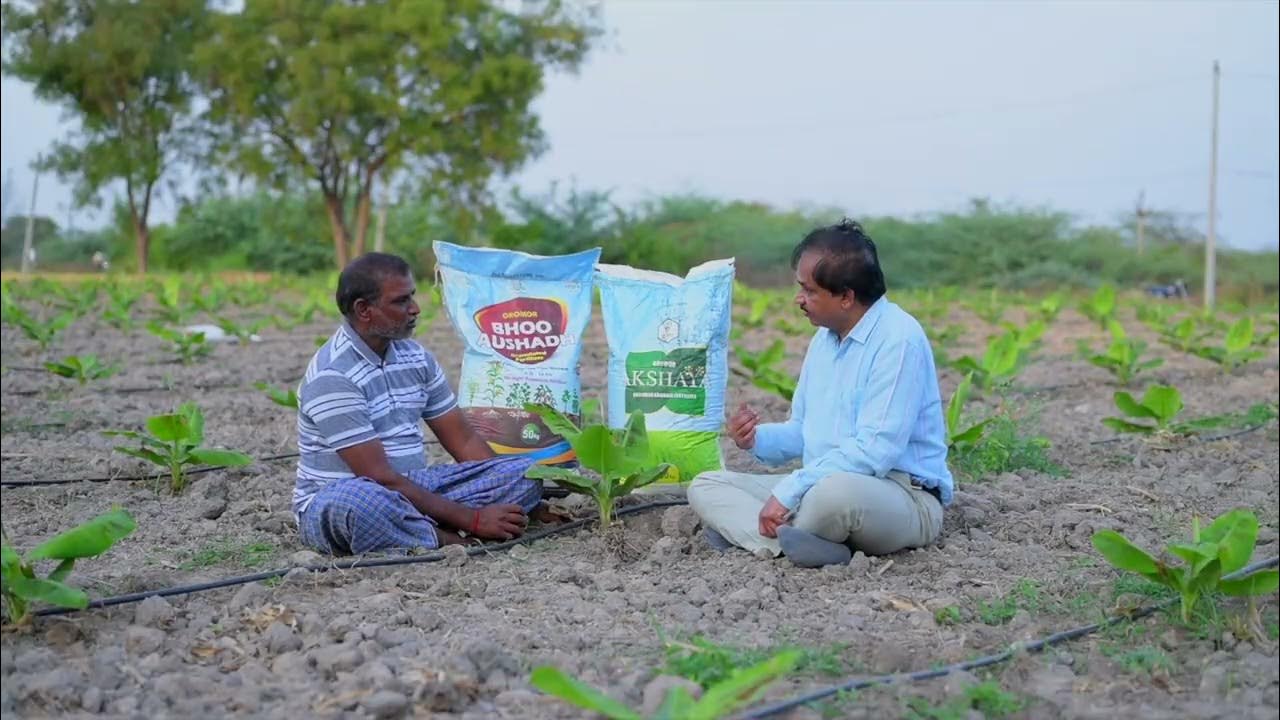 అరటి పంటలో అధిక దిగుబడి కోసం సరైన ఎరువుల ఎంపిక | Banana Crop Series - Ep 2 - YouTube
