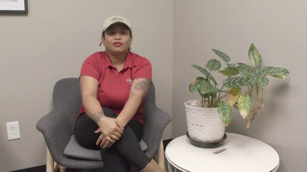 Bed Bug Exterminator Spring House PA | Cooper Pest Solutions - YouTube
