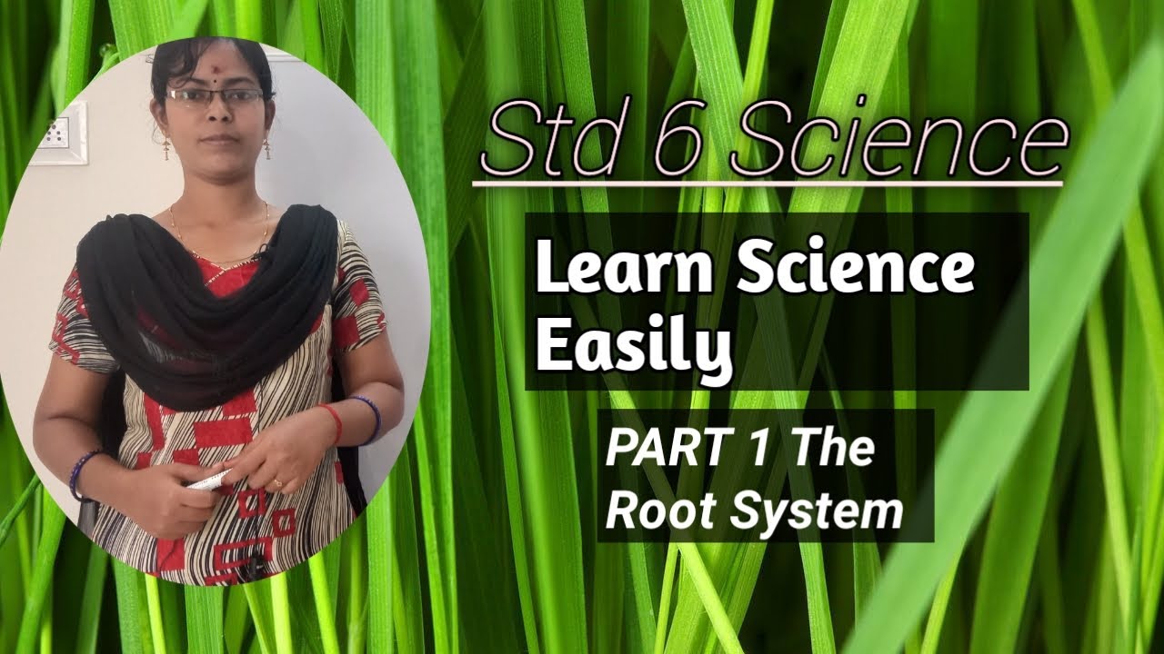 The Root System, its Types and Functions in Plants | Std 6 Science Term ...