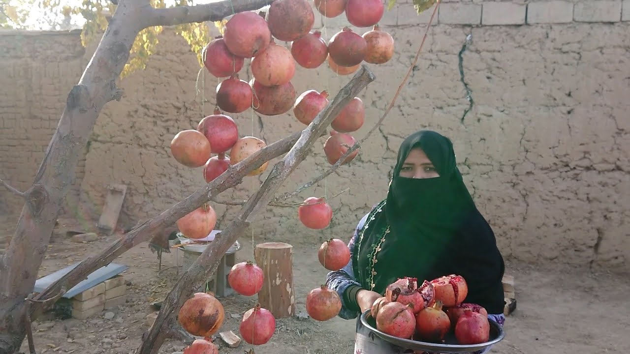 Kandahar pomegranate season in Afghanistan. Afghanistan amazing fruits ...