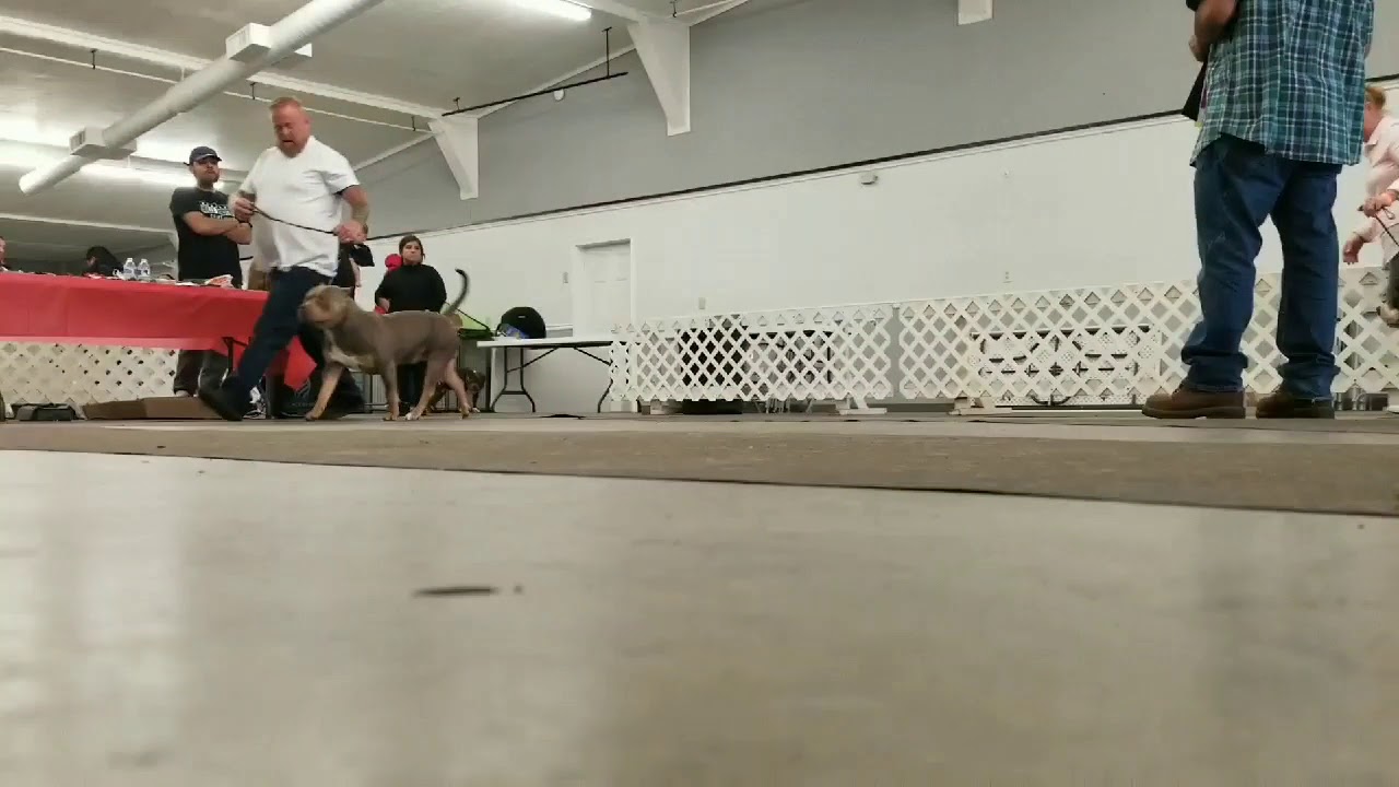 BRC Show - 9/2018 - YouTube