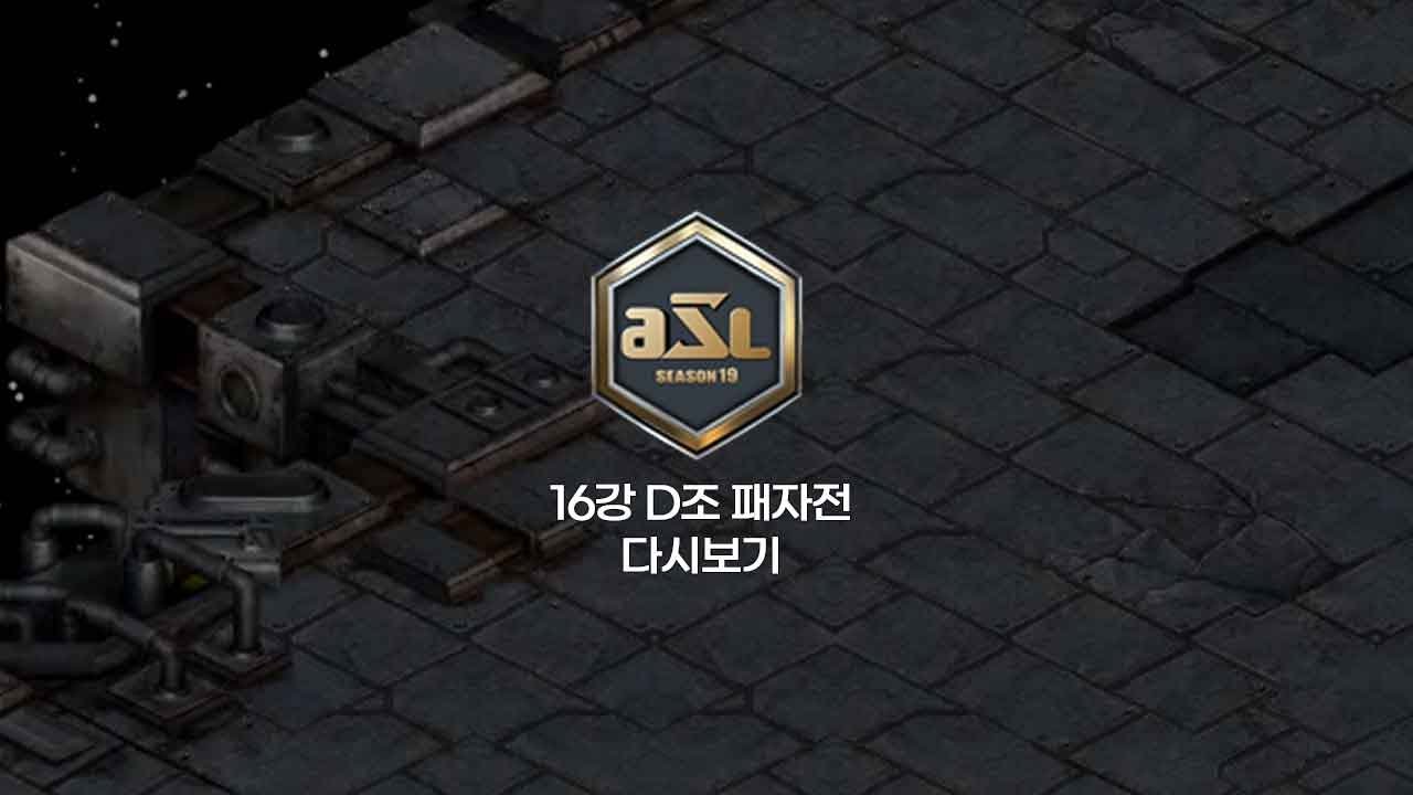 16강 D조 패자전 하이라이트 | ASL S19 - YouTube