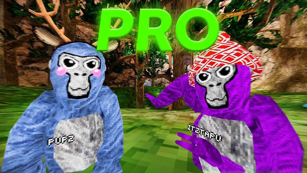 What a PROFESSIONAL Gorilla Tag Duo Looks Like... - YouTube