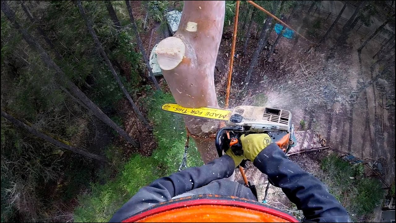 Natural Crotch Rigging pt 2 - YouTube