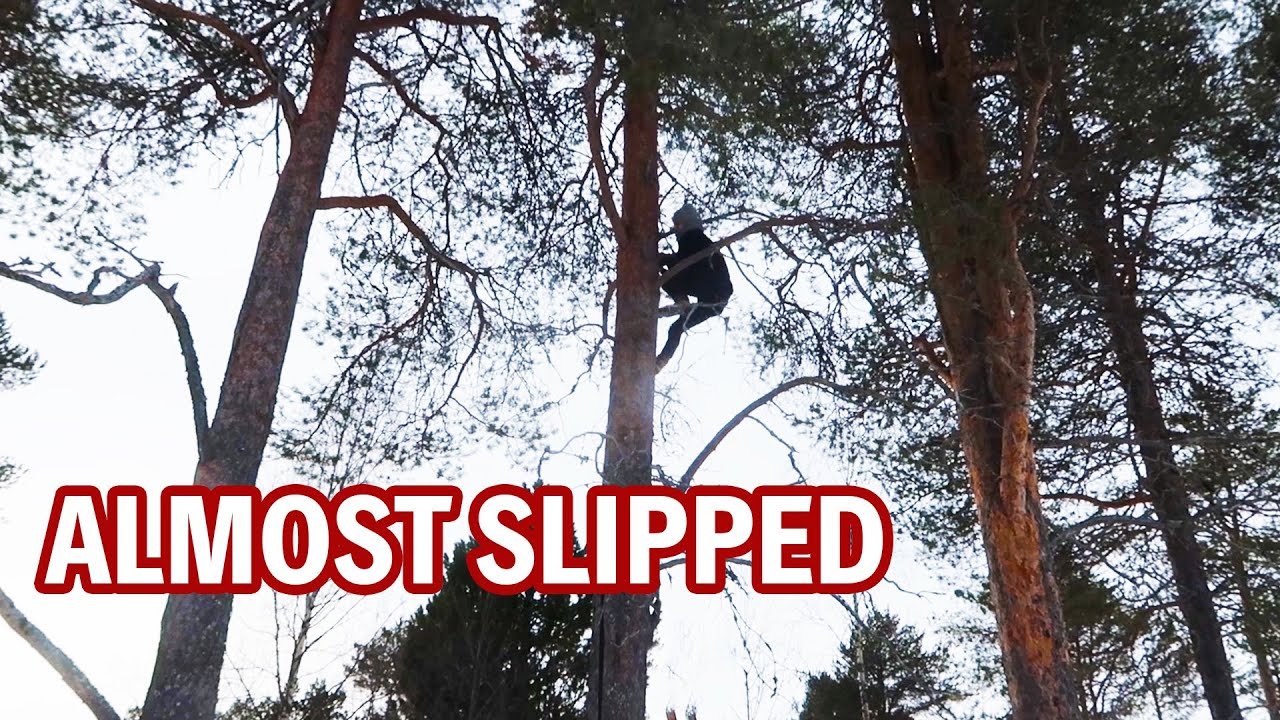 Climbing a tall tree to save a drone - YouTube