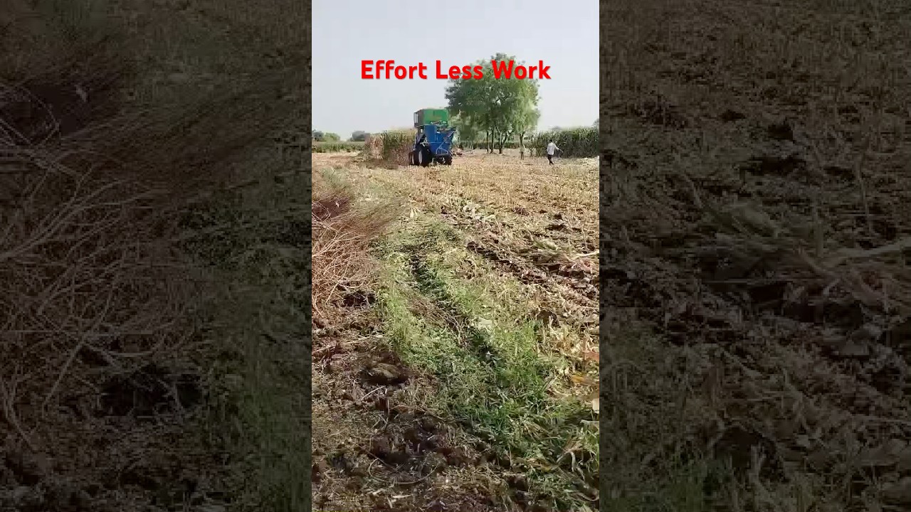 Effort Less Work 100% Success Ratio For more details Call on -8378090888,7972730870 - YouTube