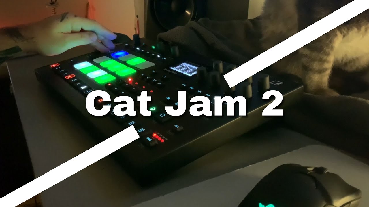 Cat Jam 2 - Analog Rytm - YouTube