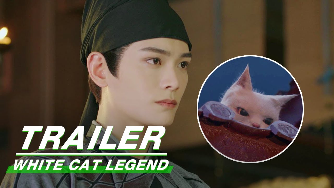 White Cat Legend Trailer:The story of Cat Detective | 大理寺少卿游 | iQIYI ...