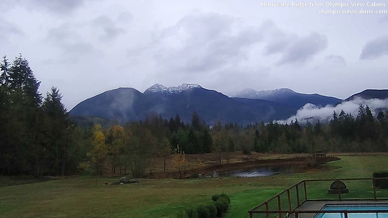 2018-11-22 Olympic View Cabins Hurricane Ridge Cam - YouTube