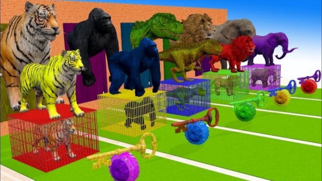 Choose The Right Cage Game With Cow Elephant Gorilla Tiger Lion ...