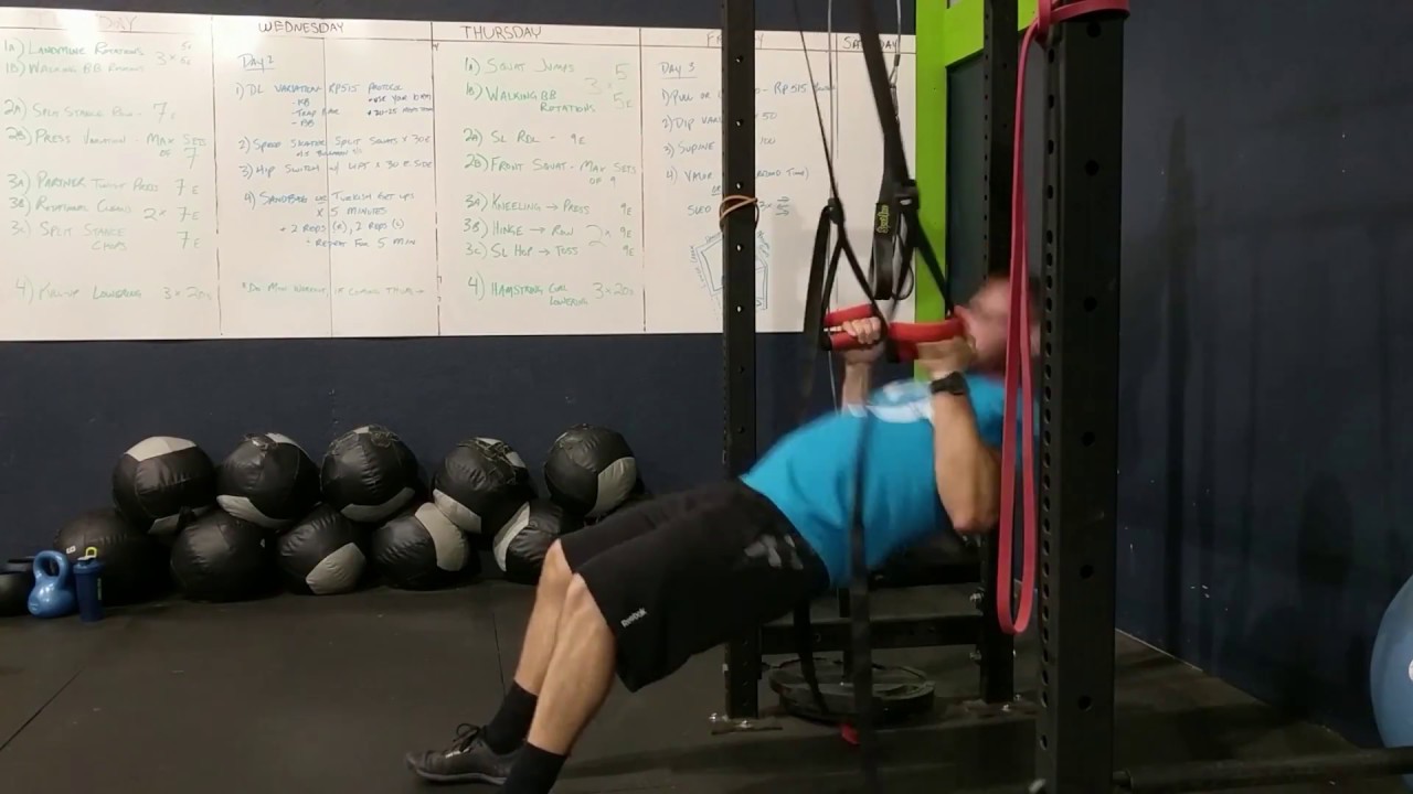 Suspended Inverted Rows - YouTube