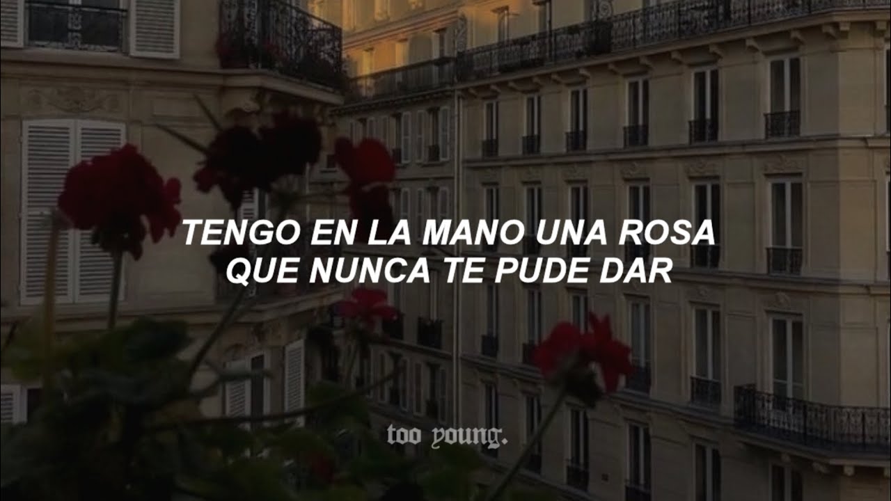 3am - una rosa // letra - YouTube