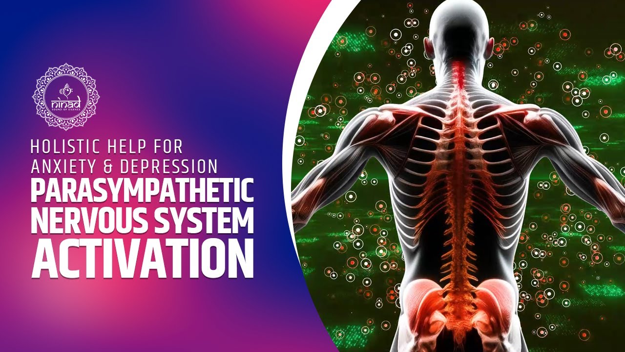 Parasympathetic Nervous System Activation | Holistic Help For Anxiety ...