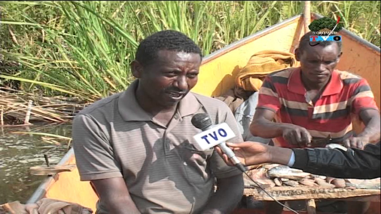 MISOOMA QURXUMMII - YouTube