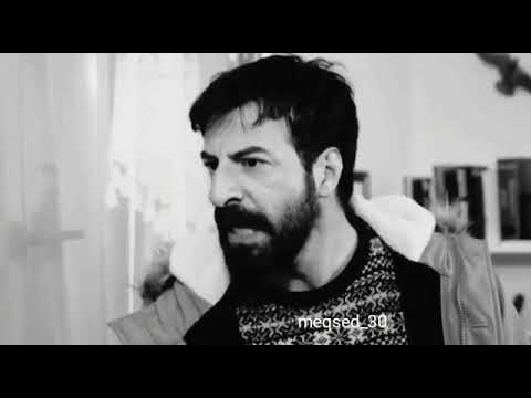 Kuzey yıldızı
