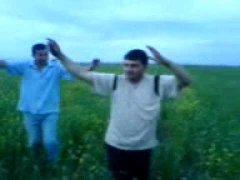 Dayioglu mamaoglu sahede