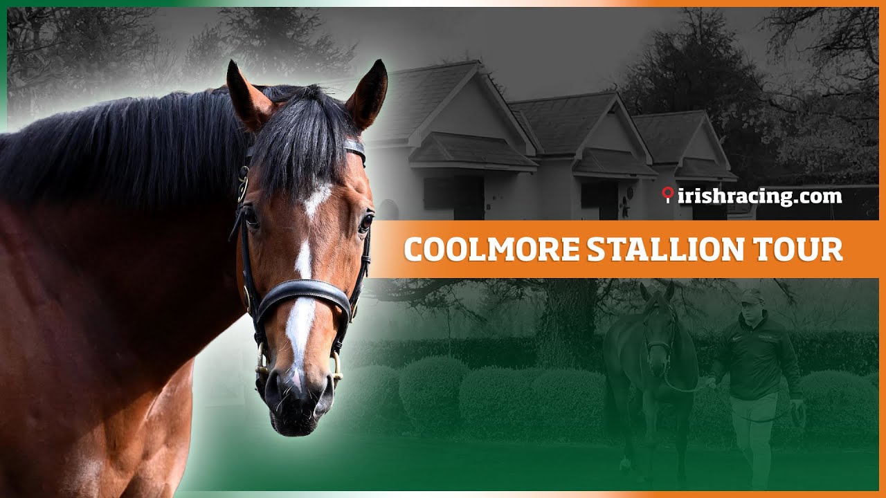Coolmore Stud Stallion Tour 2024 - YouTube