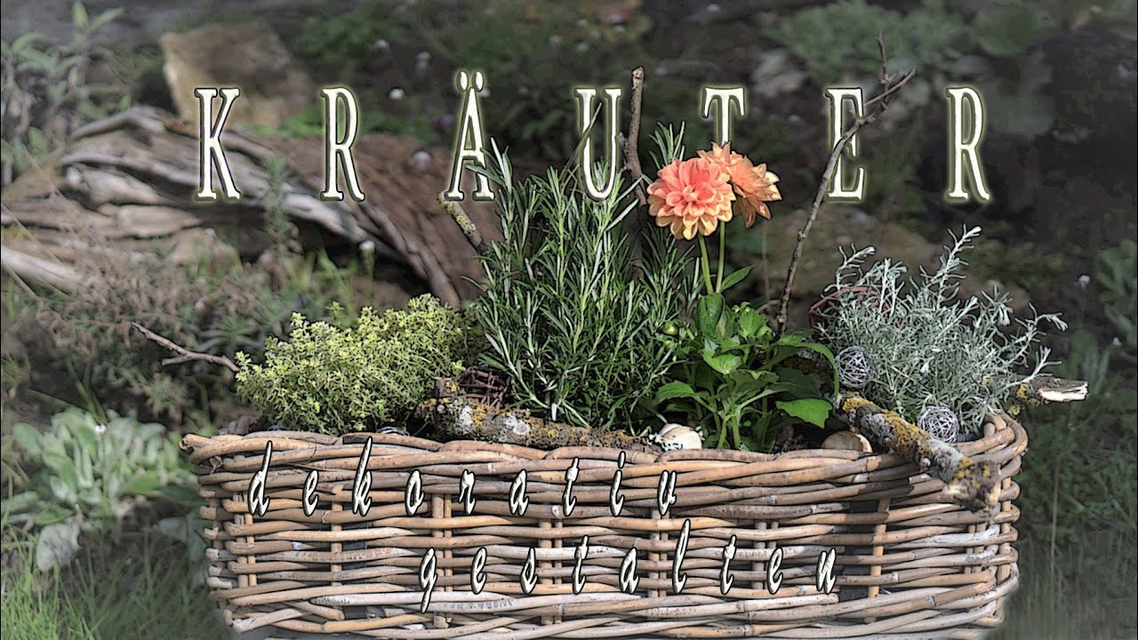 Elegantes Kruter Fr Erkltung Bild
