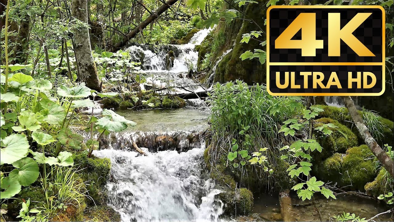 Gentle Stream #1 - 8 hours Gentle Stream, nature sound, relaxing water ...